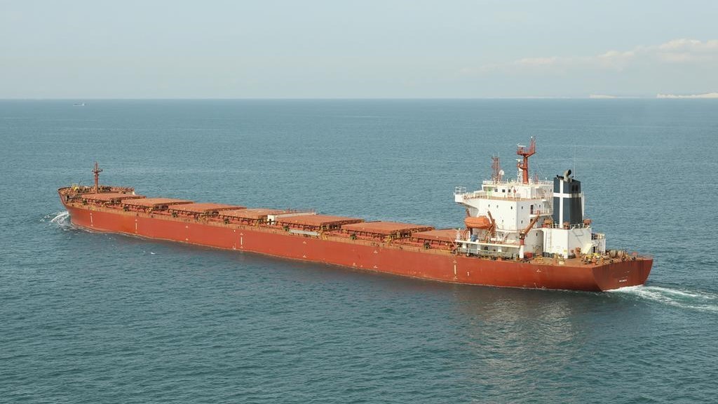 BULK CARRIERS